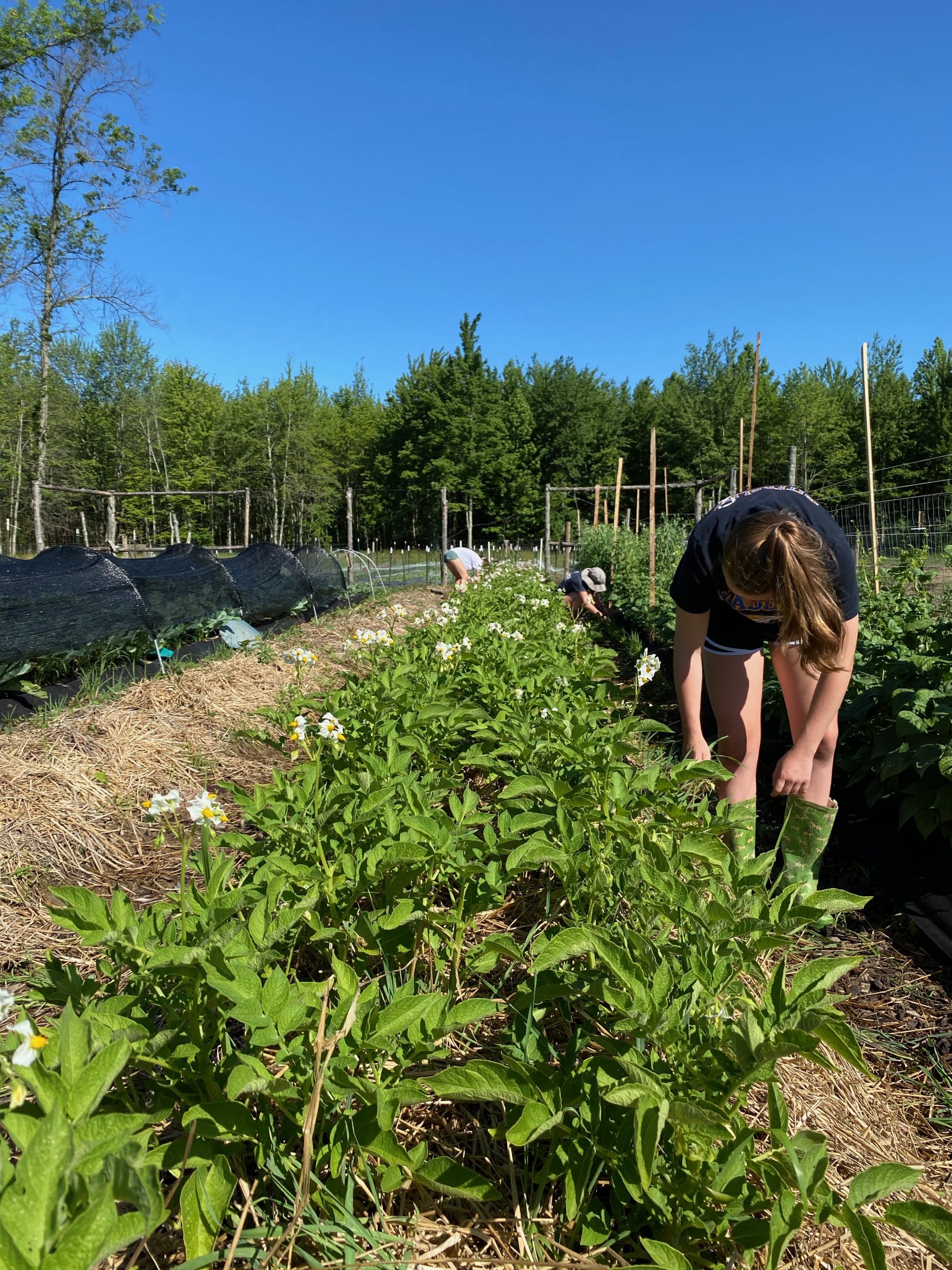 Student Farmers